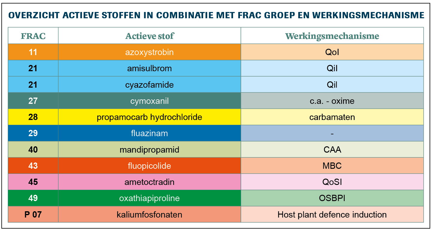 Phytophthora: oude vijand, nieuwe aanpak - Aardappelwereld