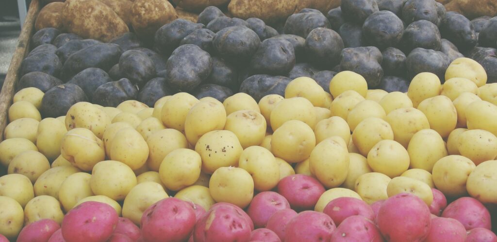 Aardappelrassen overzicht