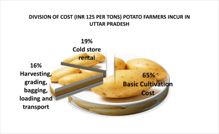 Dutch companies envision more sustainable Indian potato value chains ...